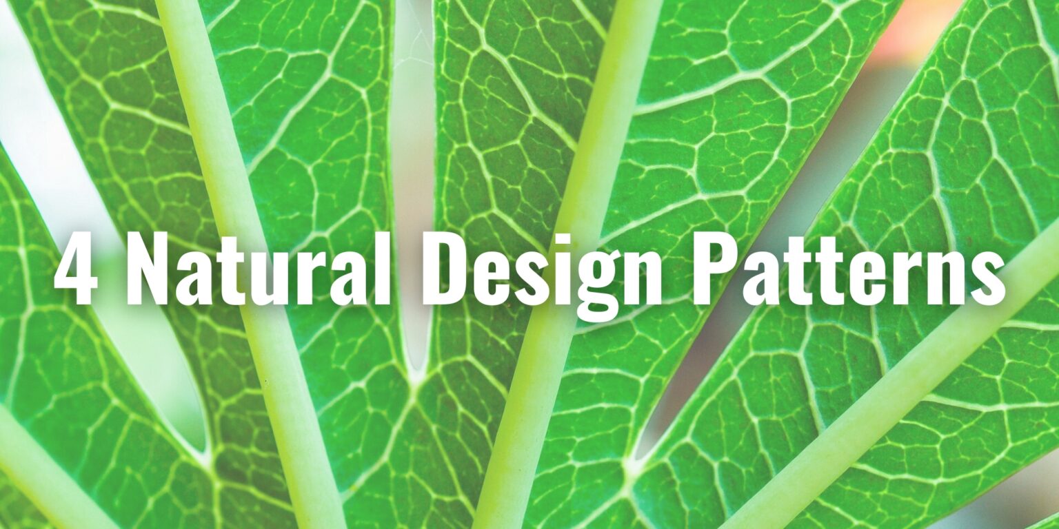4 Secret Design Patterns To Learn From Nature - Beyond Design