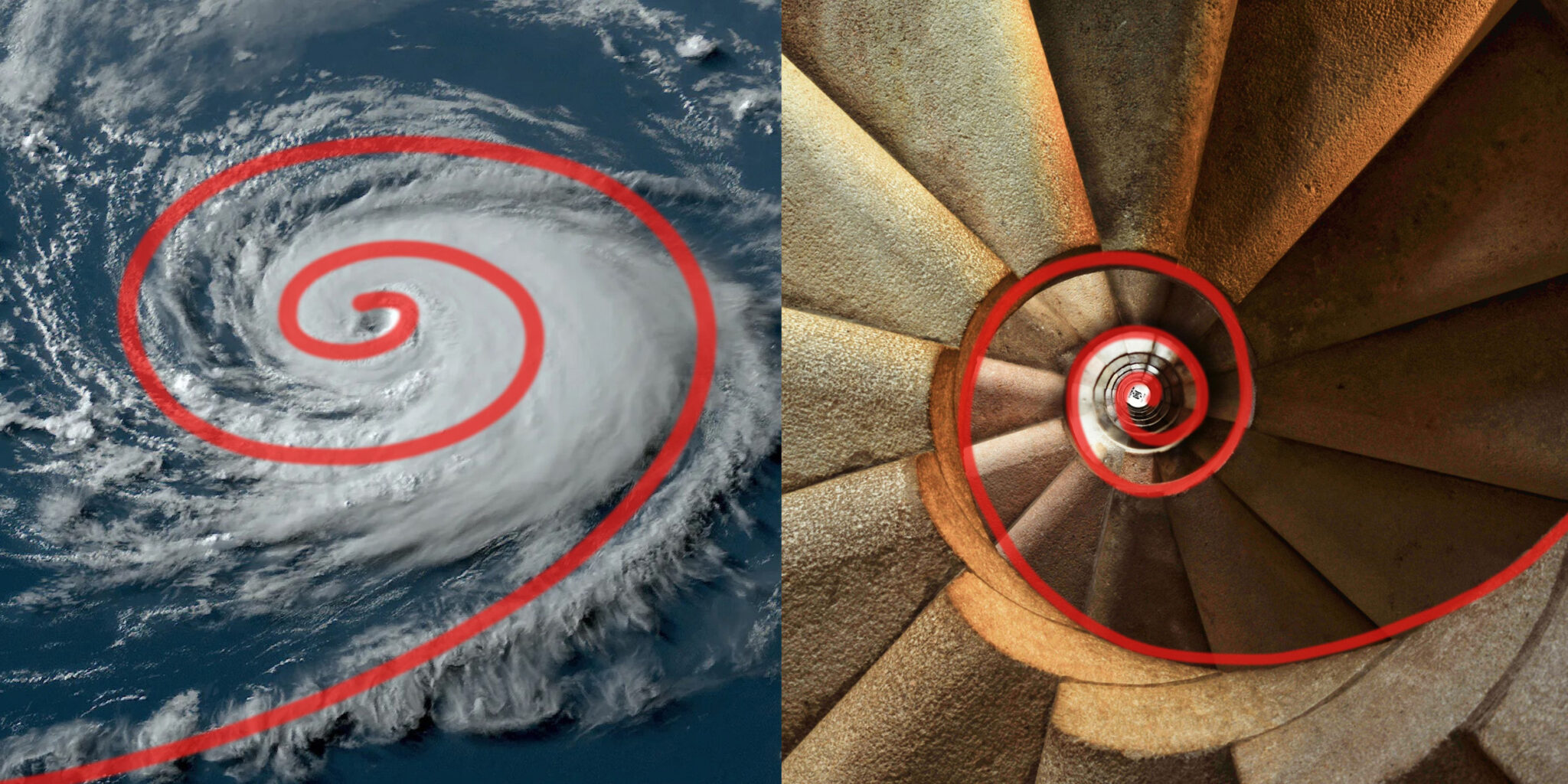 4 Secret Design Patterns To Learn From Nature - Beyond Design