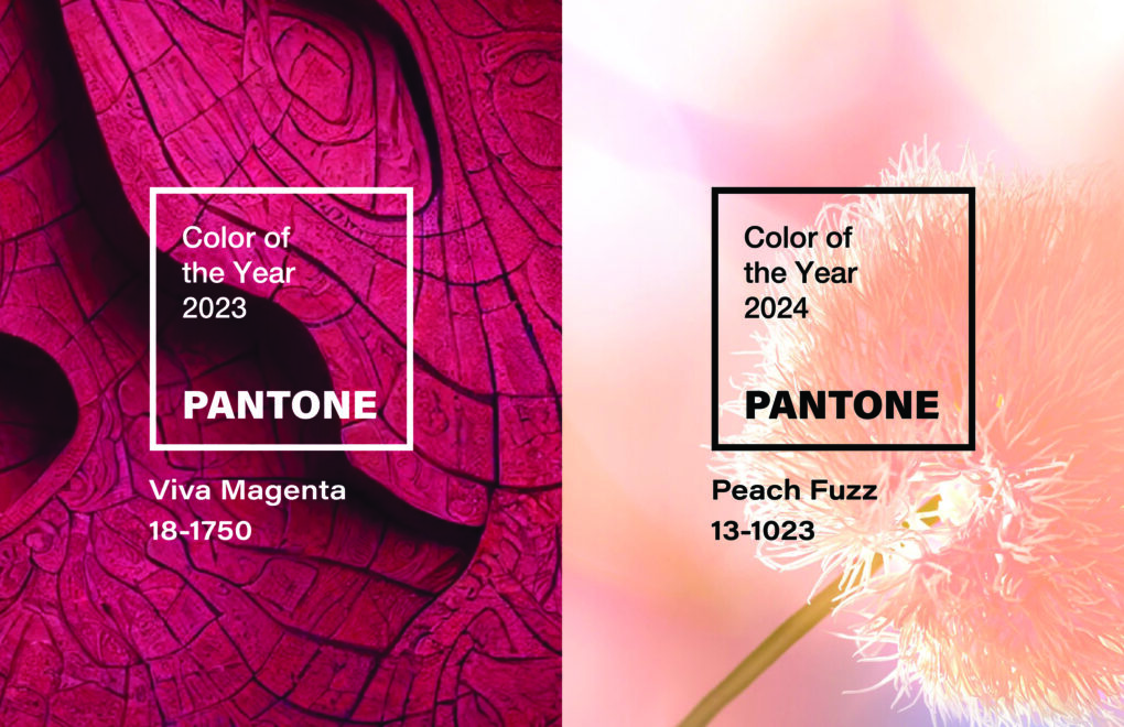 The Power and Psychology of Color in Design - Beyond Design